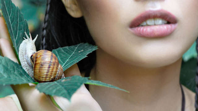 Snails On My Face: 5 Benefits of Snail Essence