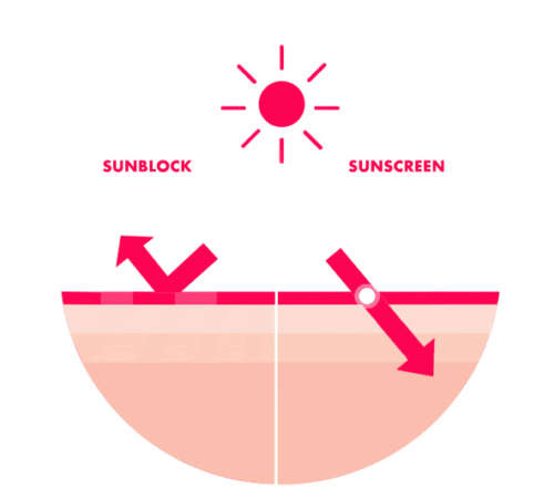 Sun Care 101: Decoding Common Sun Care Terms