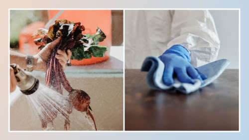 Hygiene Habits to Practice at Home to Prevent Infection - Calyxta